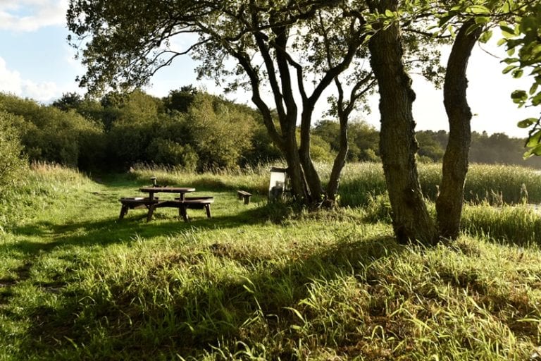 Ejstrupholm – Hjemmesiden for alle i Ejstrupholm og omegn